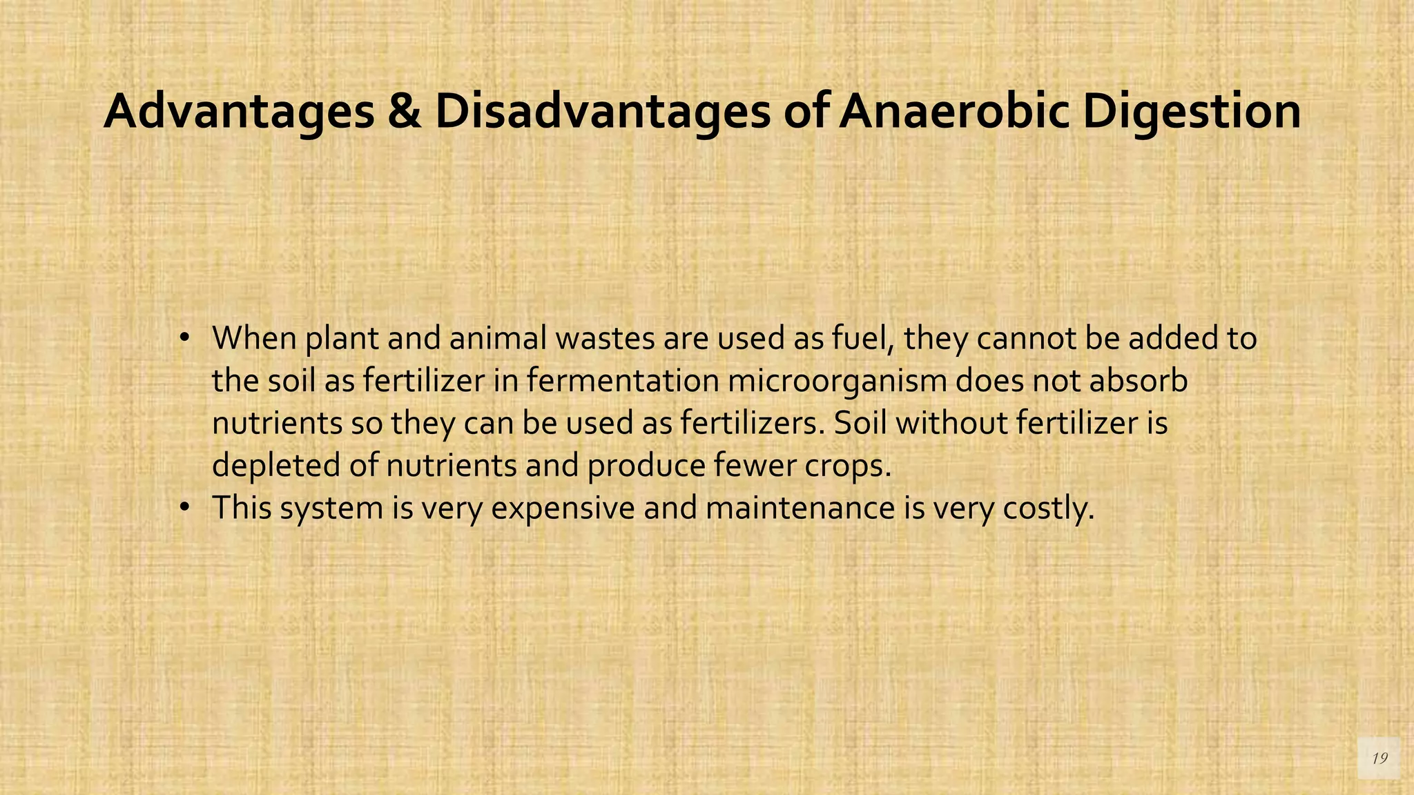 Biomass Energy (Easily Explained) | PPTX