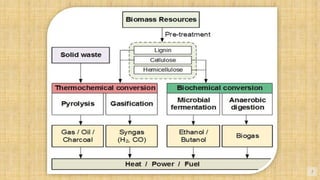 Biomass Energy (Easily Explained) | PPTX