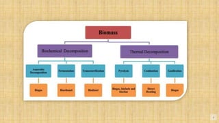 Biomass Energy (Easily Explained) | PPTX