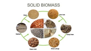 BioMass Energy (1).pptx