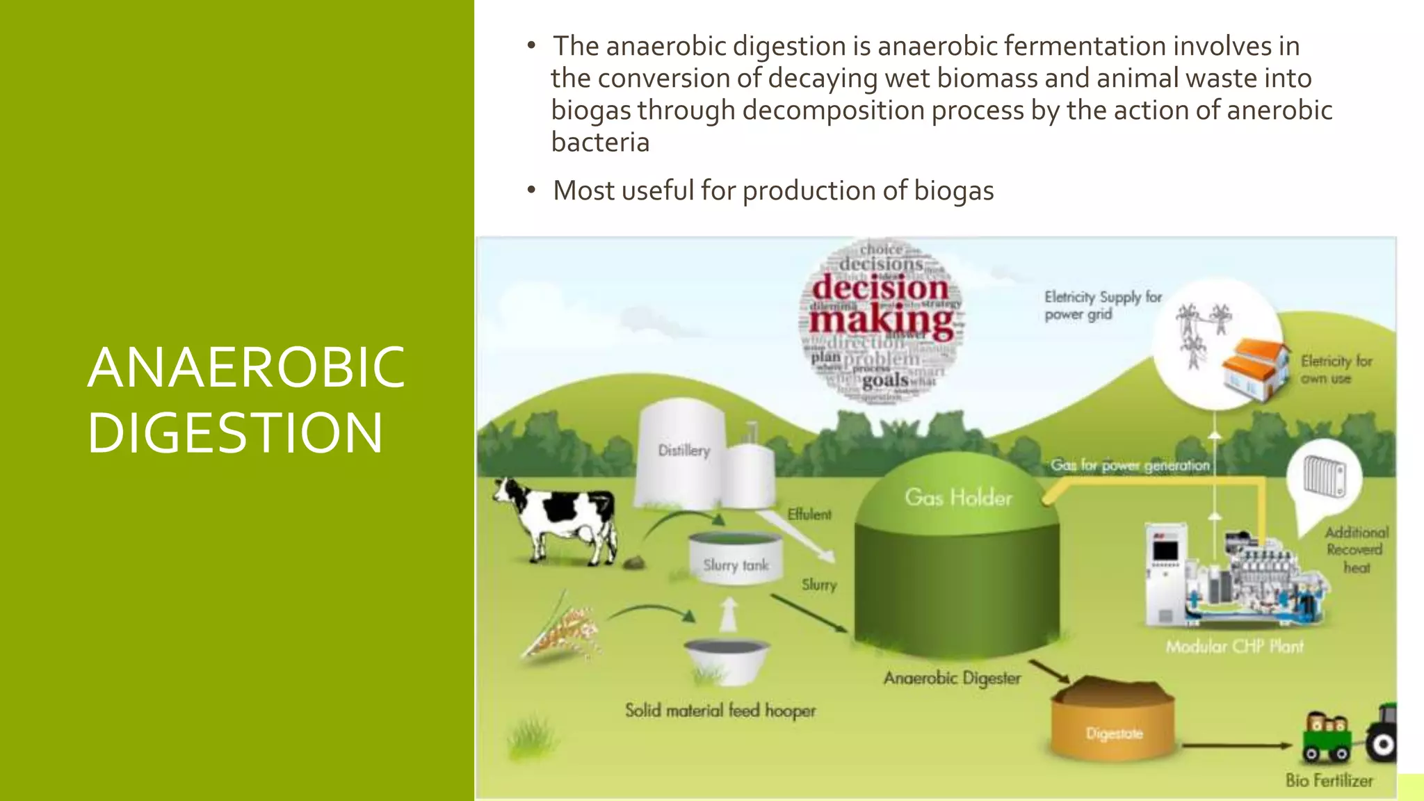BIOMASS ENERGY (2).pptx by VINAY GOWDA Y C | PPTX
