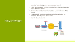 BIOMASS ENERGY (2).pptx by VINAY GOWDA Y C | PPT