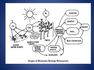 Biomass Cycle For Kids