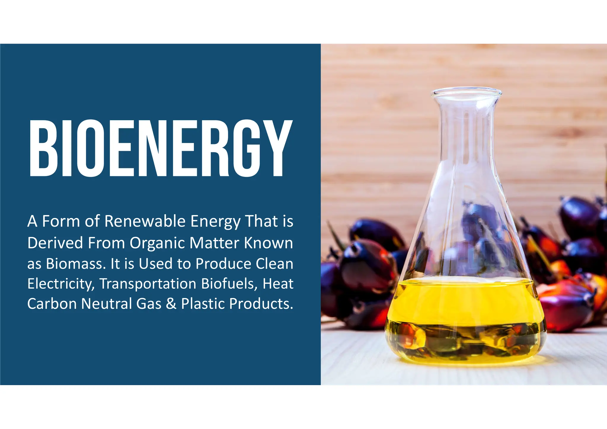 Biomass Energy Meaning | PDF