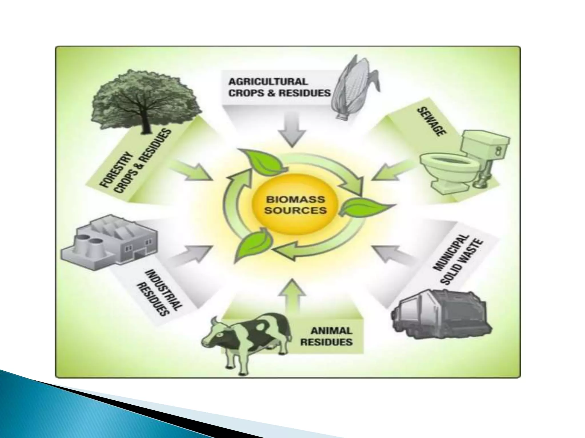 Biomass energy ppt | PPTX