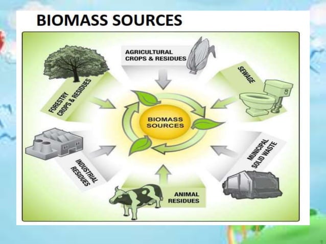 Biomass estimation | PPT