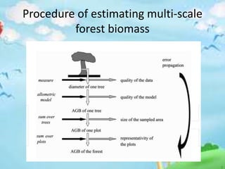 Biomass estimation | PPT