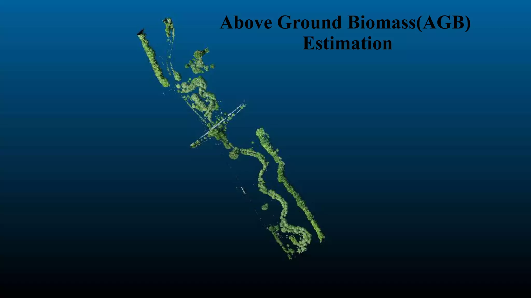 Biomass_estimation.pptx