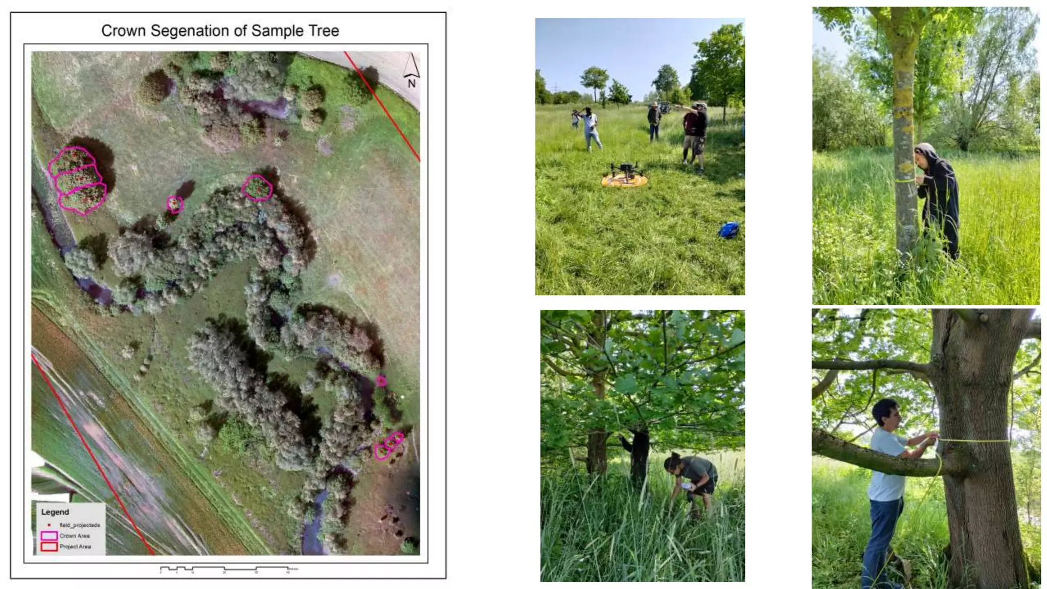 Biomass_estimation.pptx