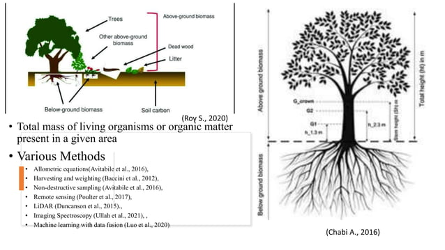 Biomass_estimation.pptx
