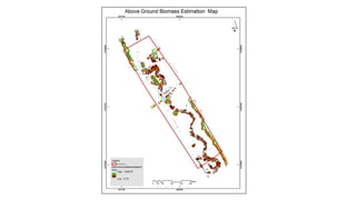 Biomass_estimation.pptx