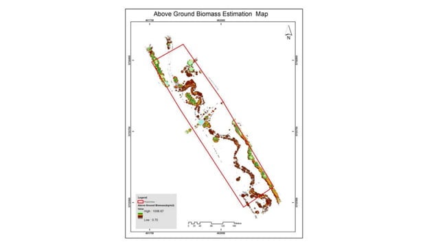 Biomass_estimation.pptx