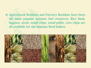 Biomass fired boilre | PPT