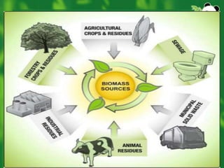 biomass from the waste.pptx