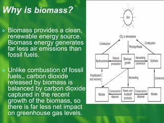 biomass from the waste.pptx