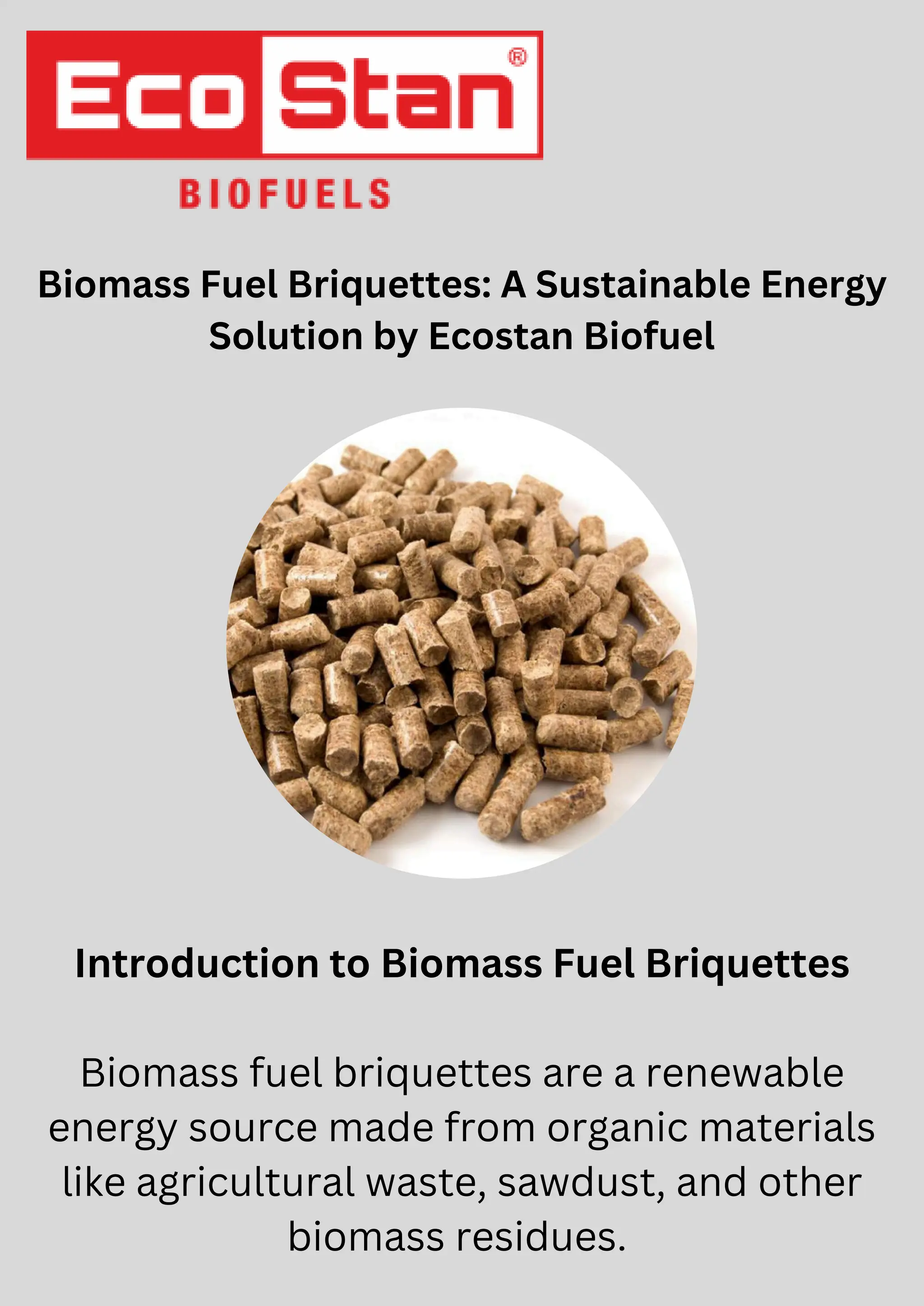 Biomass Fuel Briquettes A Sustainable Energy Solution by Ecostan ...