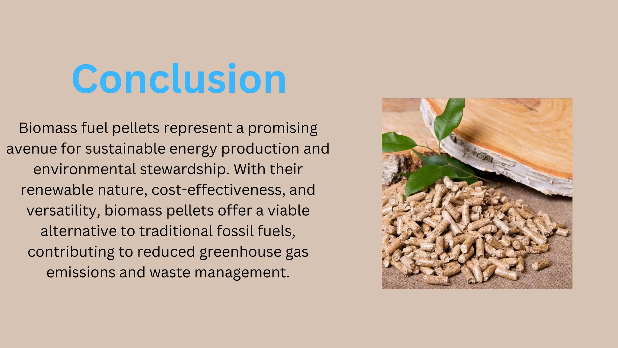 Using Renewable Energy: The Potential of Biomass Fuel Pellets | PPTX