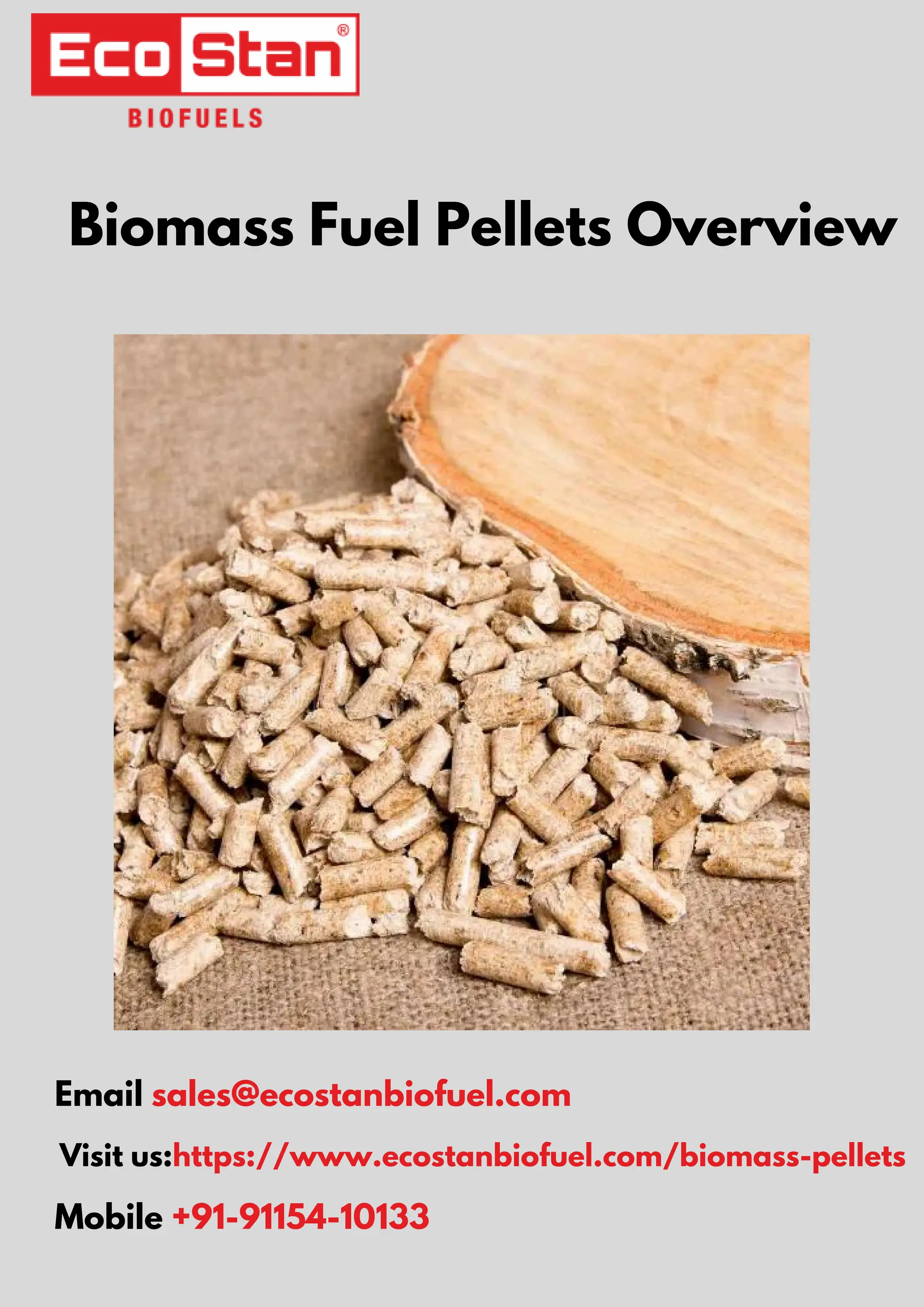 Briefly Biomass Fuel Pellets Overview.pdf