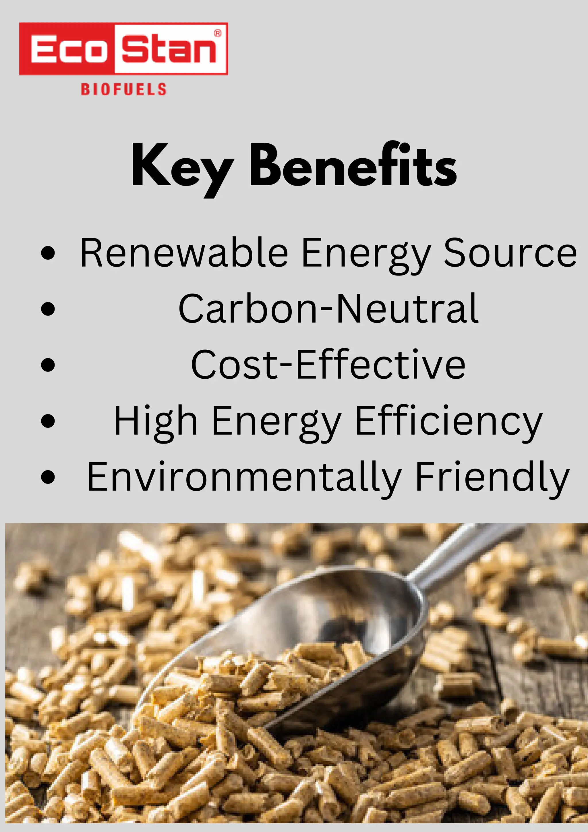 Briefly Biomass Fuel Pellets Overview.pdf