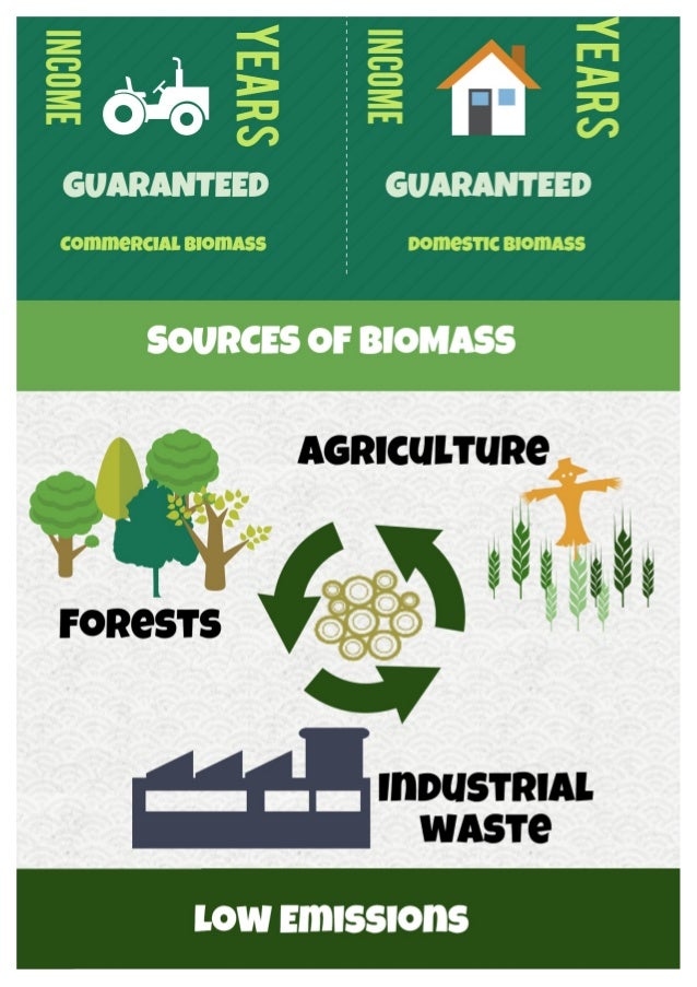 Biomass Renewable Energy Statistics