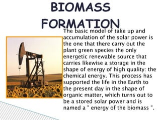 Biomass Marina | PPT | Agriculture | Industries