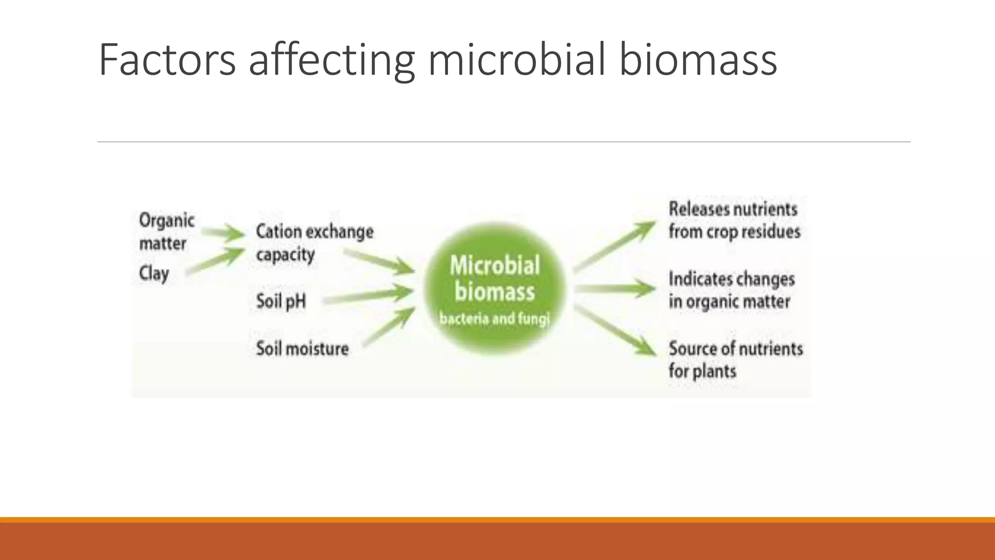 Biomass nitrogen | PPT