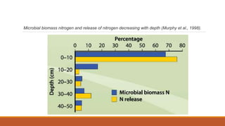Biomass nitrogen | PPT
