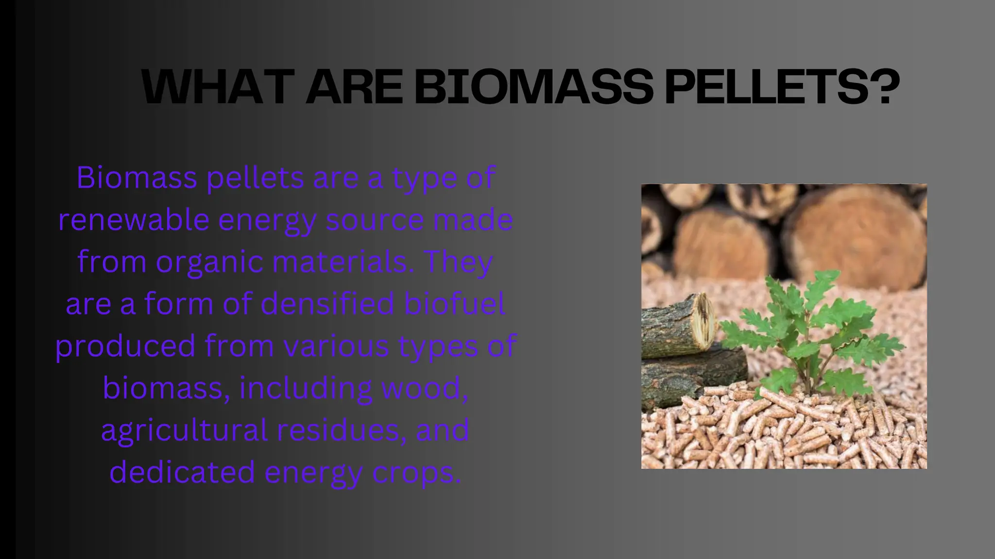 Biomass Pellet Supplier Sustainable Energy Solutions.pptx