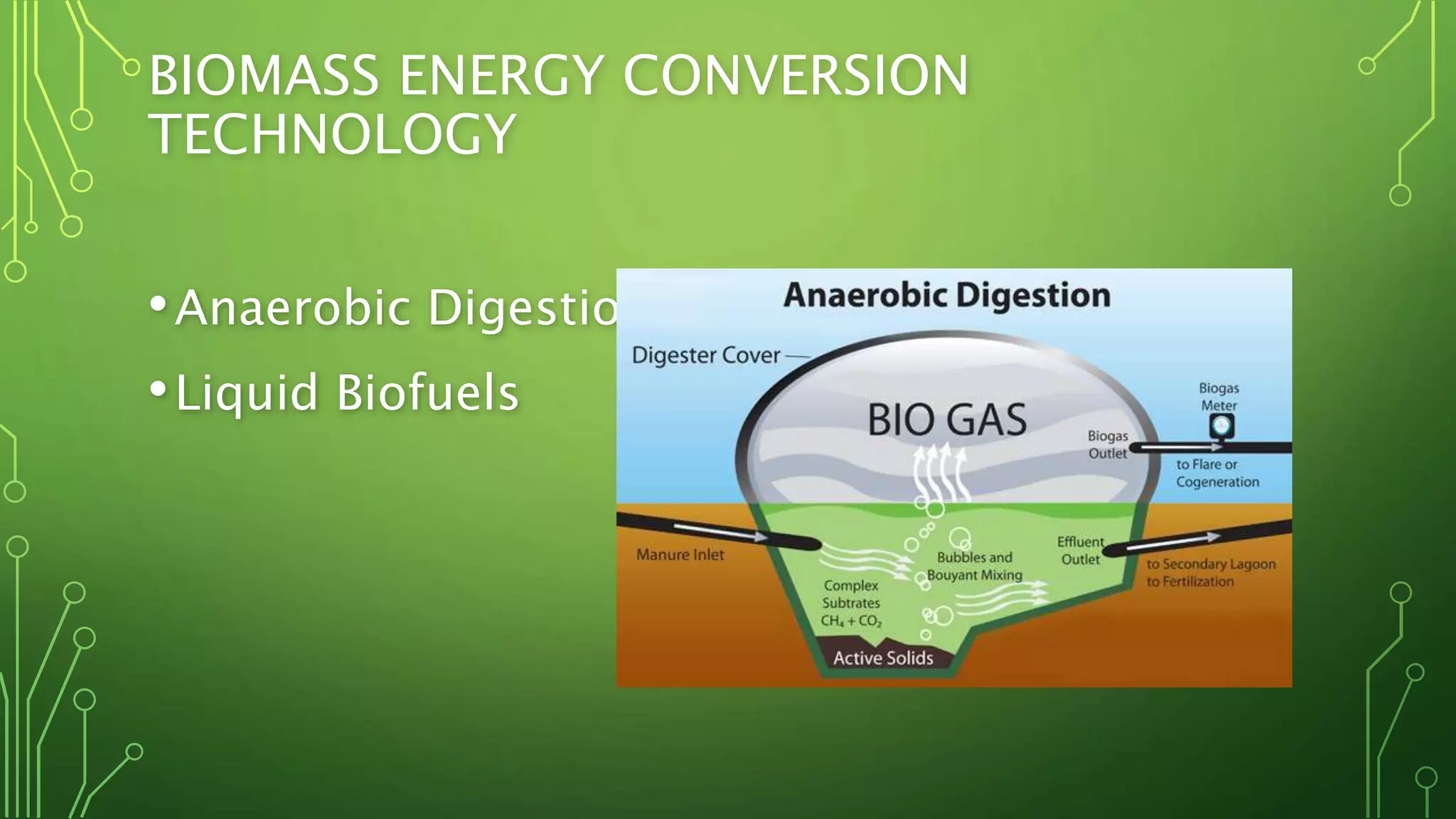 'Biomass power generation' | PPTX