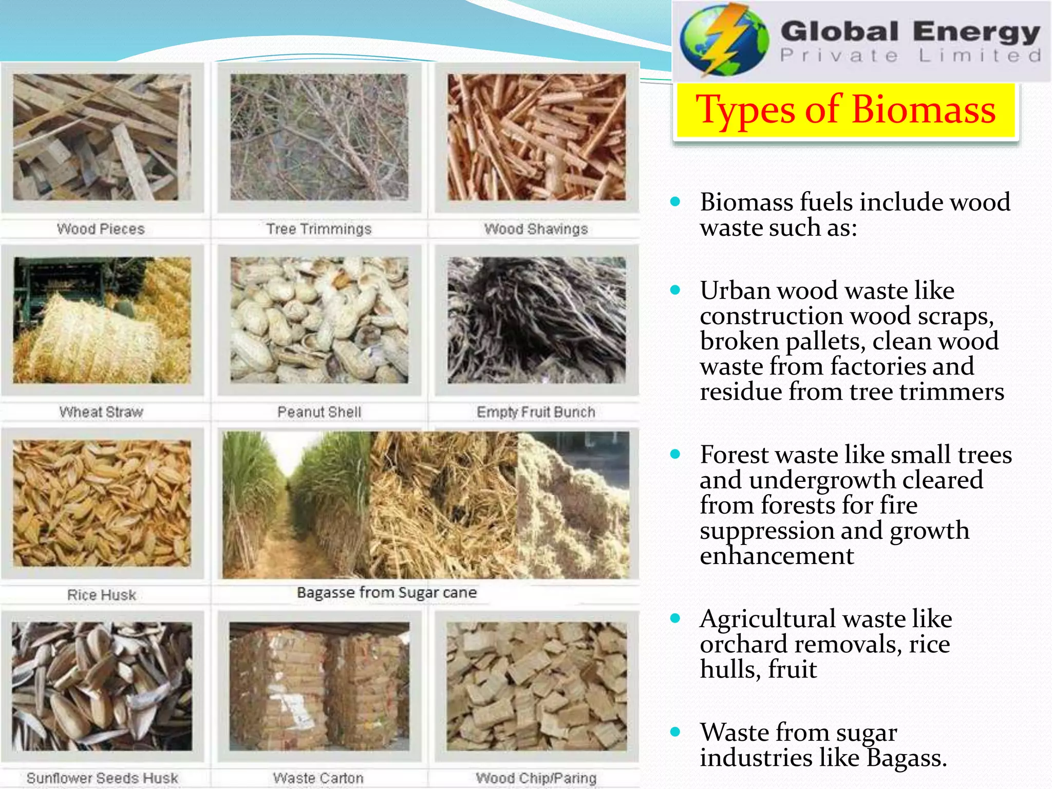 Biomass power plant overview - Global energy private limited | PPTX