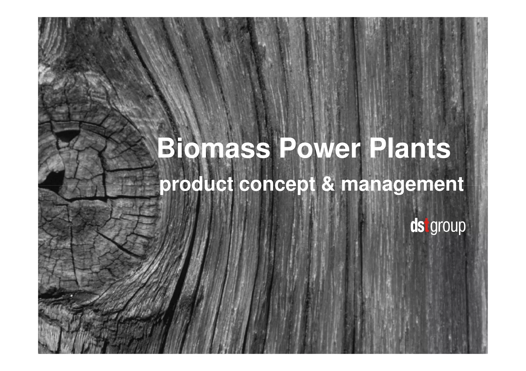 Biomass Power Plants | PDF
