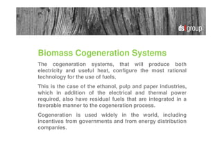 Biomass Power Plants | PDF
