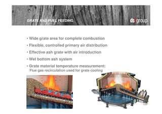 Biomass Power Plants | PDF
