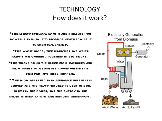 Biomass power point | PPT
