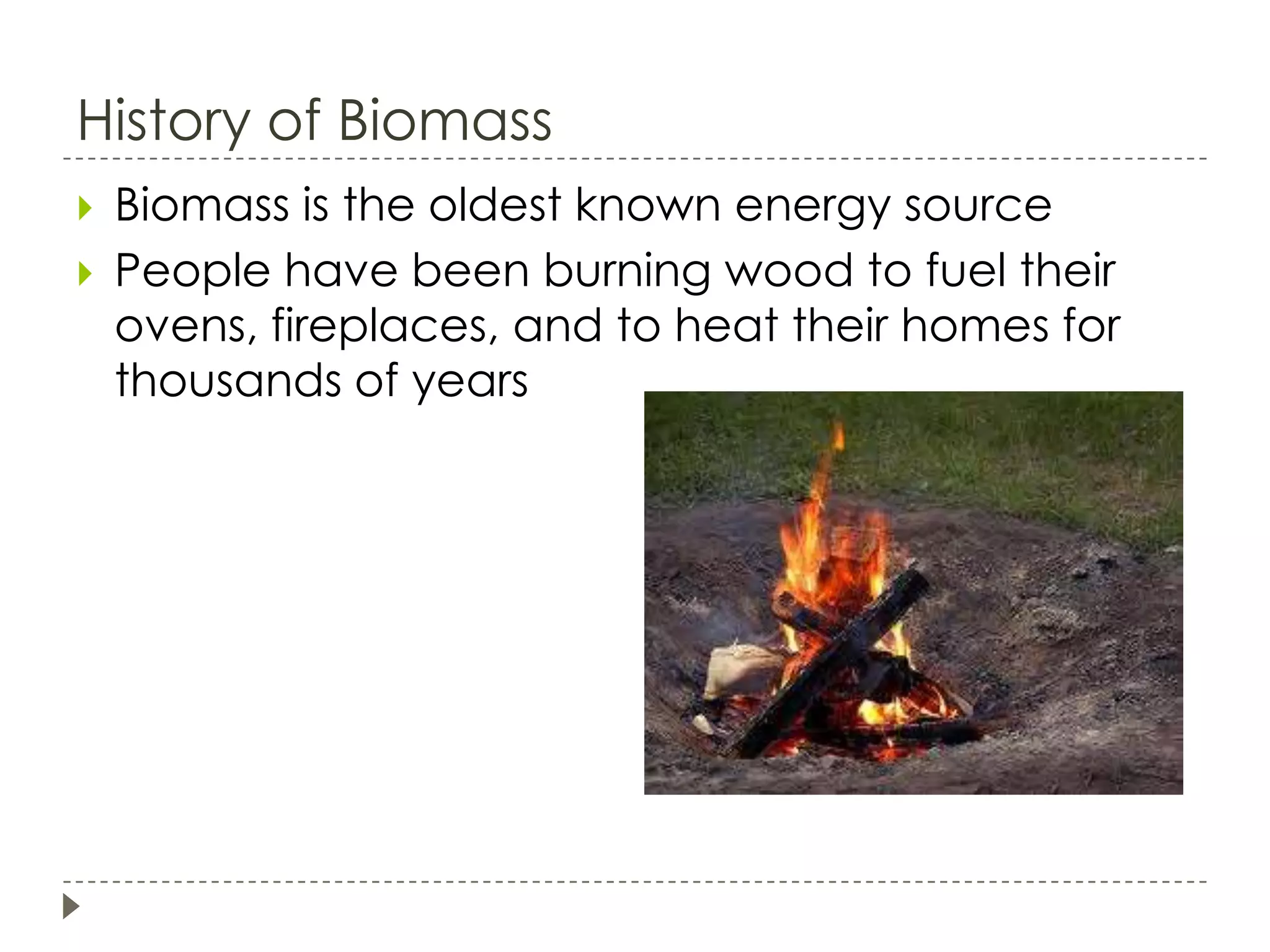 Biomass | PPTX
