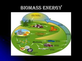 Biomass Energy For Kids