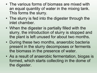 Biomass PPT_OE.ppt