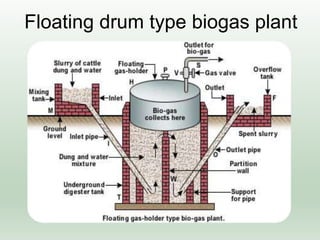 Biomass PPT_OE.ppt