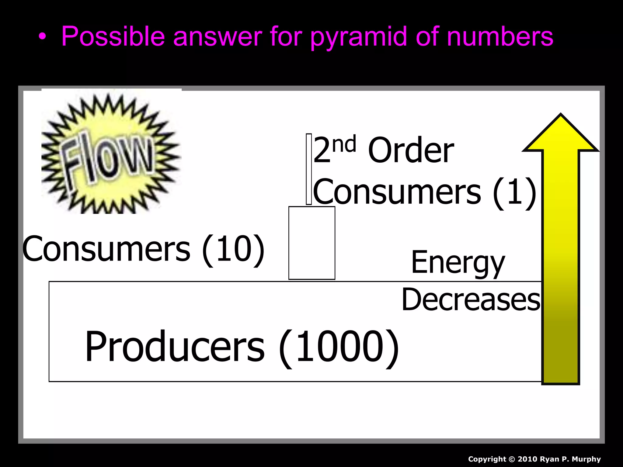 Ecology Pyramid of Numbers, Biomass Pyramid, Ecosystem Lesson ...