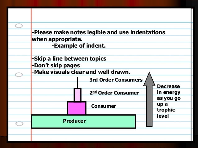Bioaccumulation Pyramid