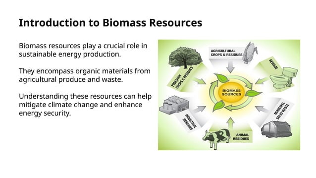 Biomass Resources From Agriculture Produce And Waste Biomass.pptx