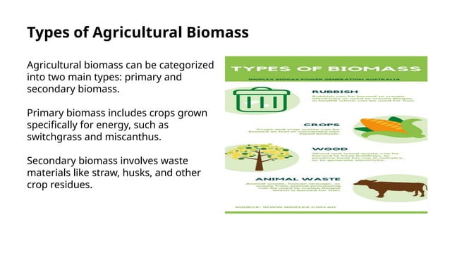 Biomass Resources From Agriculture Produce And Waste Biomass.pptx