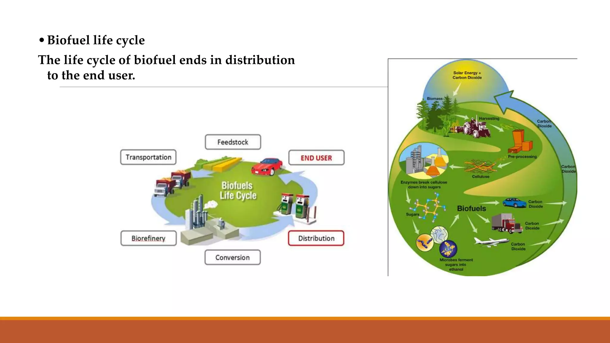 Biomass sources in pakistan by abdul Haseeb | PPTX