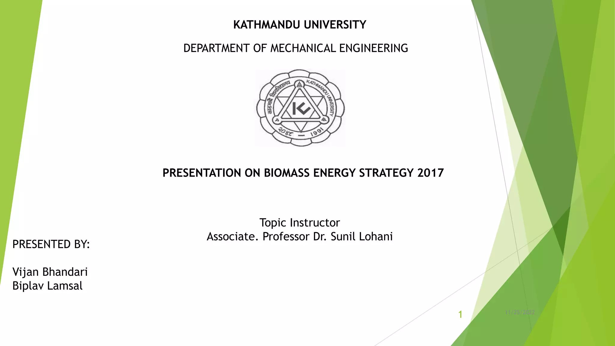 BIOMASS STRATEGY.pptx
