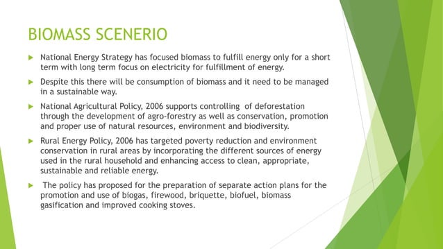 BIOMASS STRATEGY.pptx