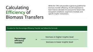 Understanding Biomass Transfer and Efficiency in Ecosystems: Food ...