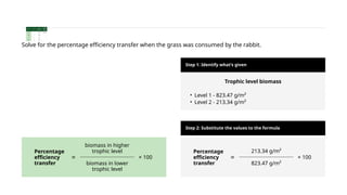 Understanding Biomass Transfer and Efficiency in Ecosystems: Food ...