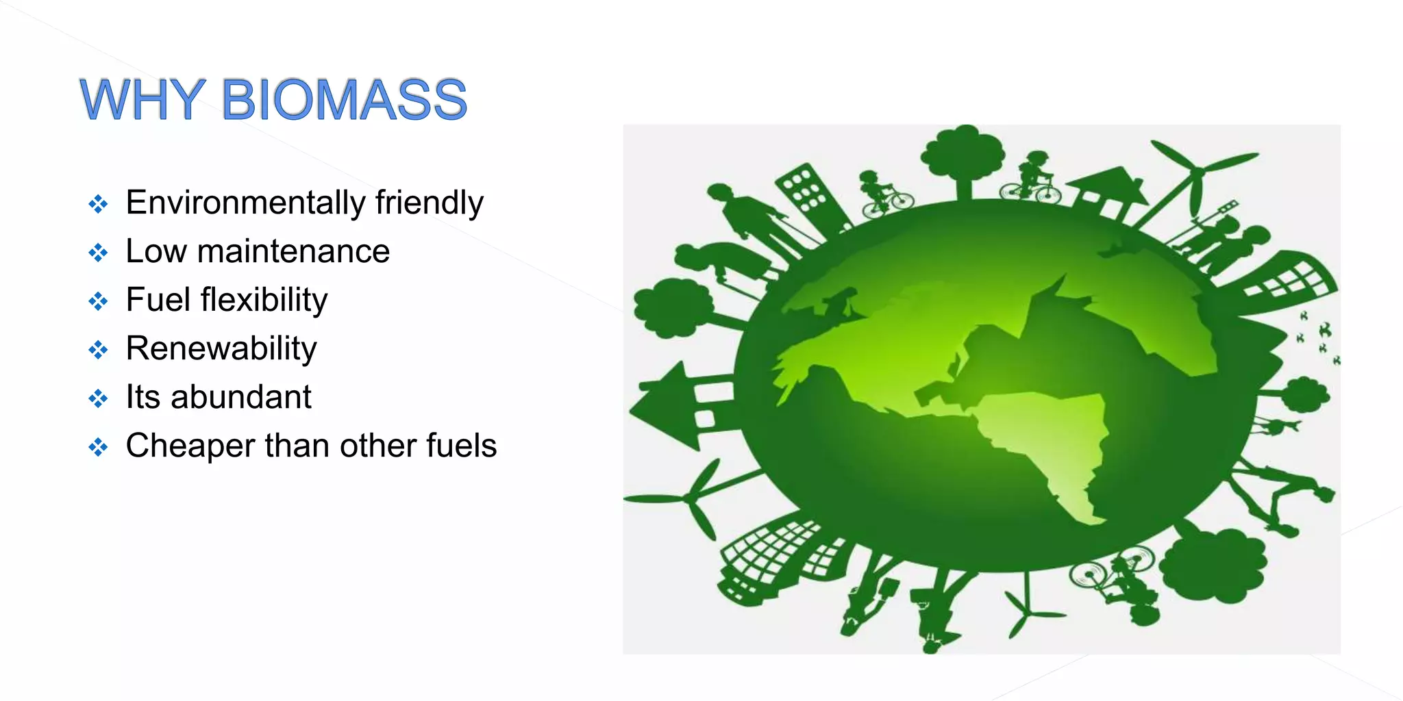 BIOMASS UNIT PPT.pptx