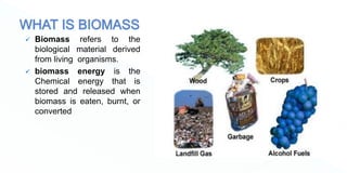 BIOMASS UNIT PPT.pptx