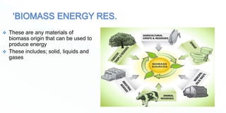 BIOMASS UNIT PPT.pptx